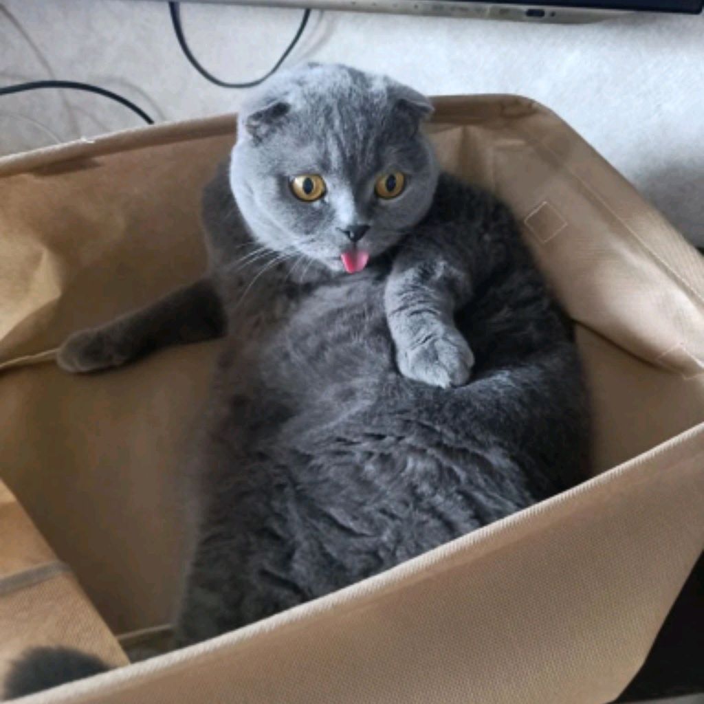 Иконка канала Вика Супер Класс