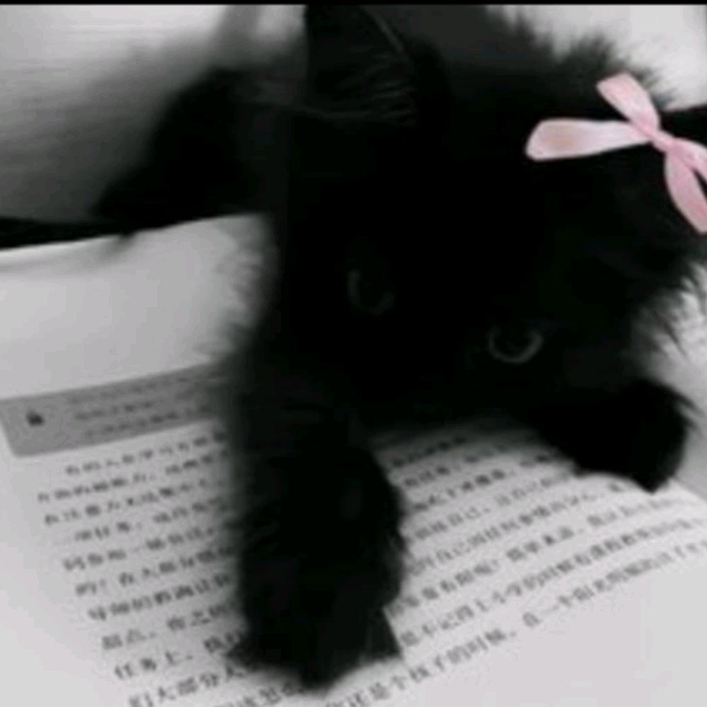 Иконка канала 🌸𝐆𝐚𝐜𝐡𝐚 𝐲𝐚𝐨𝐨.