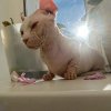 Иконка канала Плэй Корпорэйшон