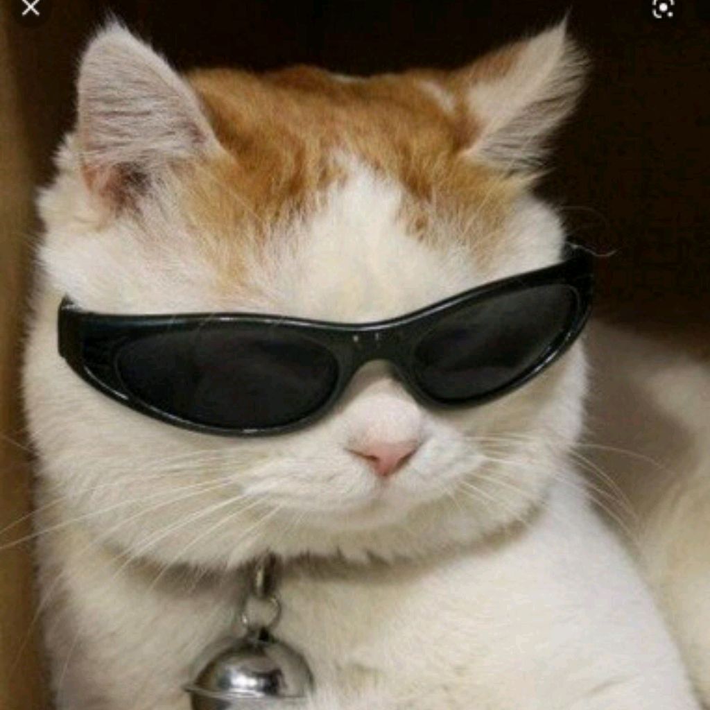 Иконка канала ЫРКА ПРО🔥⚡🔥 !