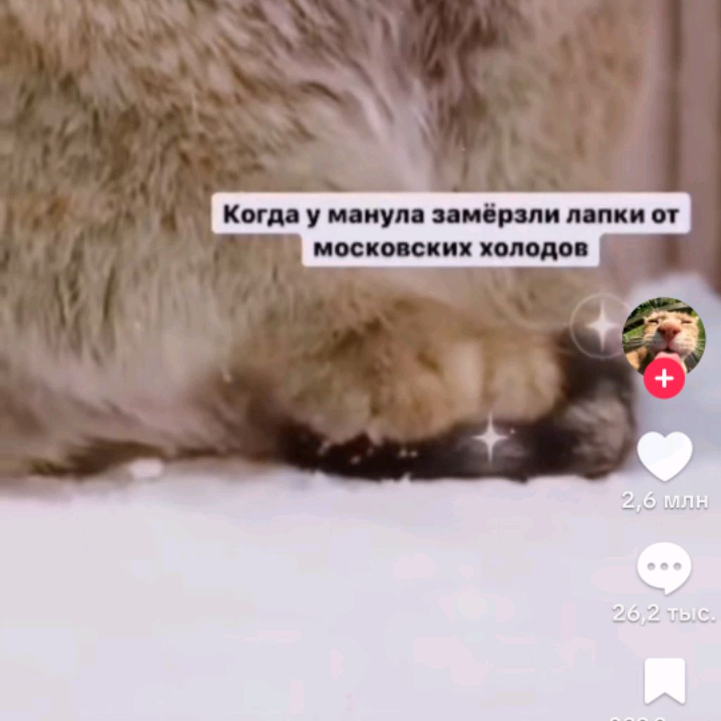 Иконка канала zertik777