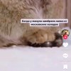 Иконка канала zertik777