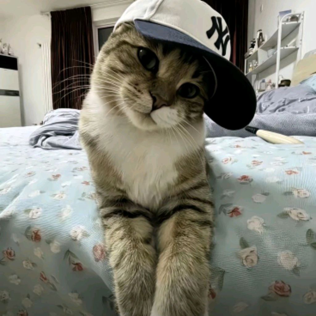 Иконка канала Romych&Lerych🐒🤎👽