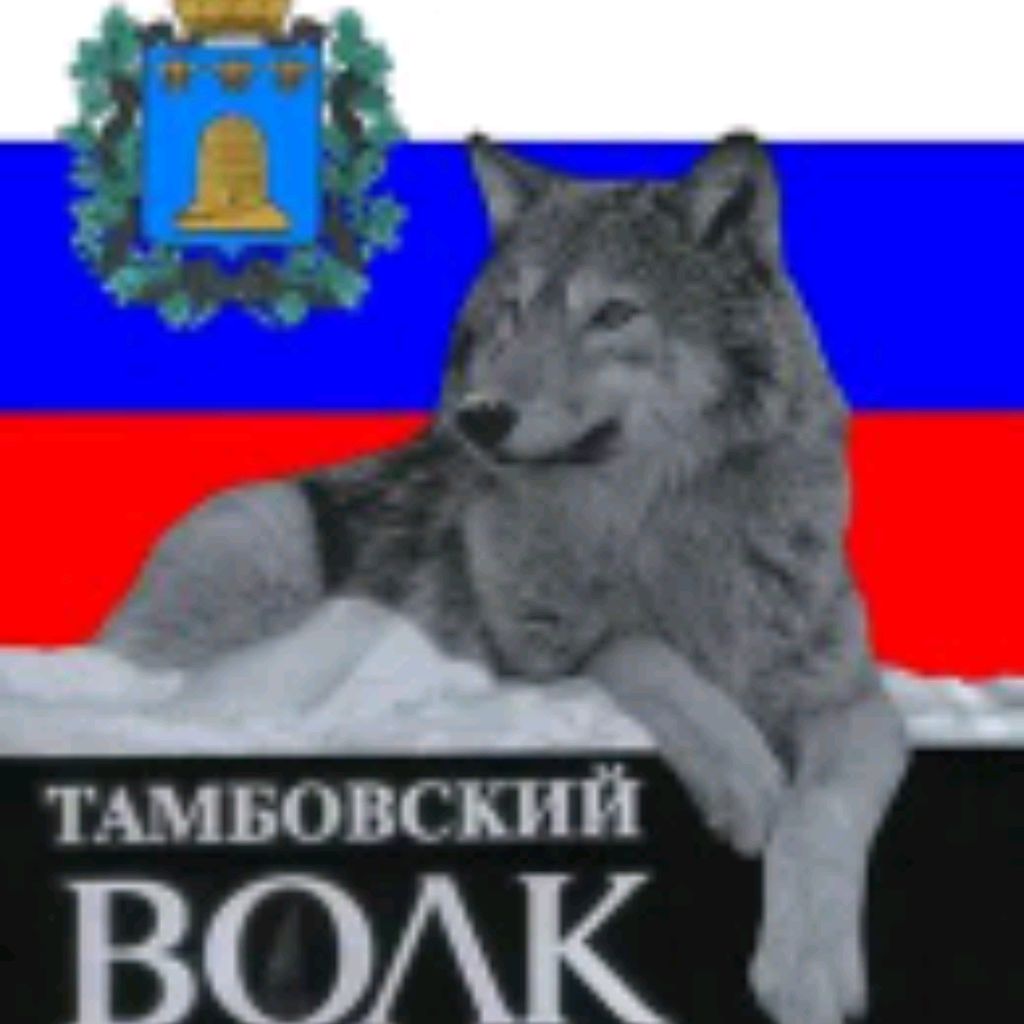 Иконка канала Тамбовский Волк 🐺