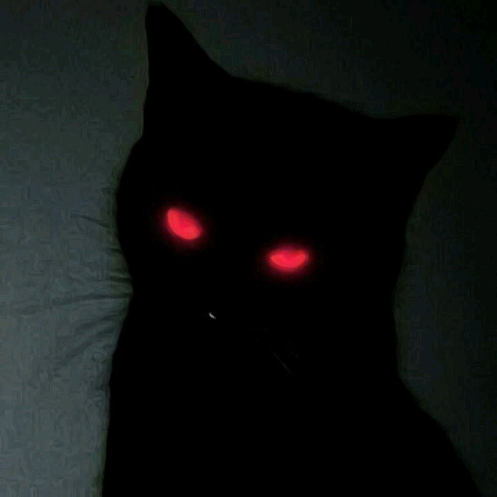 Иконка канала @sasha⋆. 𐙚 ˚