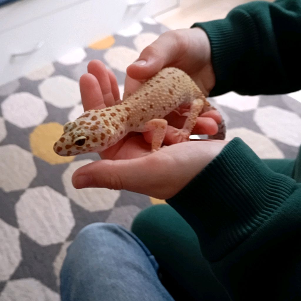 Иконка канала Лила И Стич