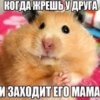 Иконка канала ~▼・ᴥ・▼Хомячки ໒꒰ྀི ˶• ༝ •˶ ྀི১~