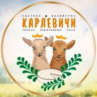 Иконка канала @karlevichi