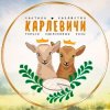 Иконка канала @karlevichi