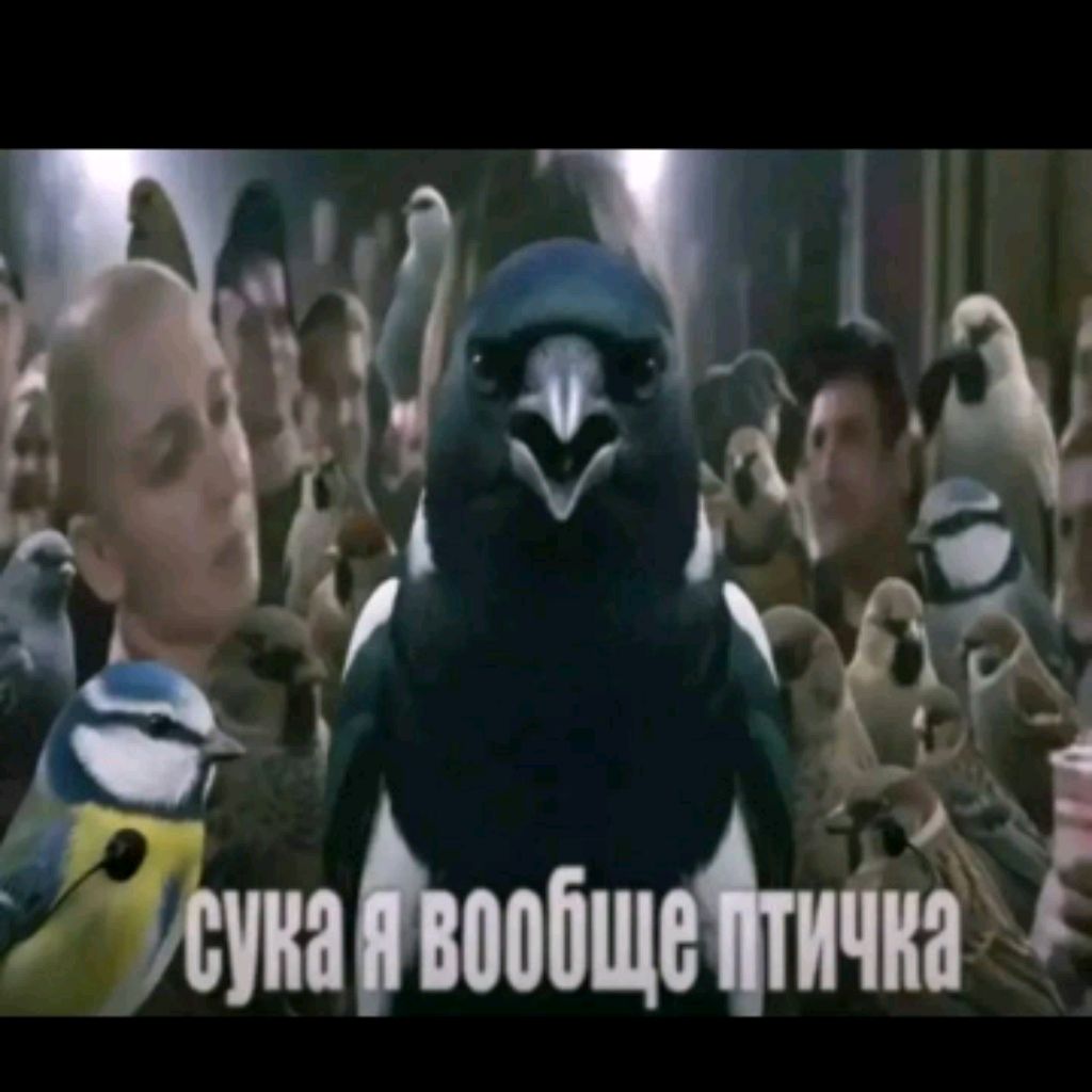 Иконка канала MellFunchik