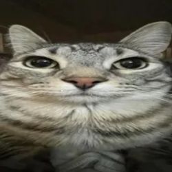 Иконка канала игры с чит