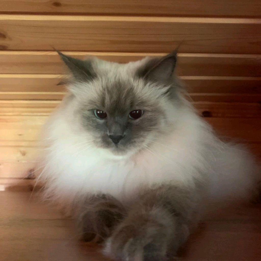 Иконка канала Буся Наказывает 234