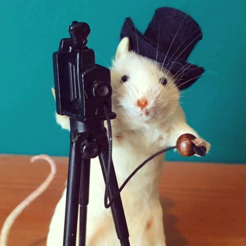 Иконка канала CamerMousy