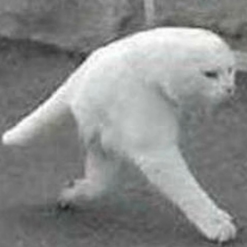 Иконка канала Carnival of Death