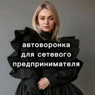 Иконка канала Трафик Сетевого предпринимателя