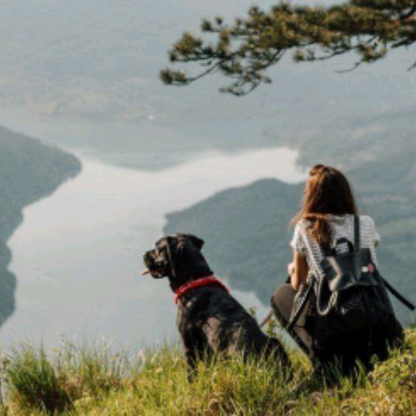 Иконка канала ✨Таро и Жизнь💫