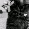 Иконка канала 🌸kitty_love🌸