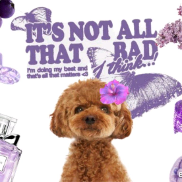 Иконка канала 🌈Мир Бумажек Алисы💥