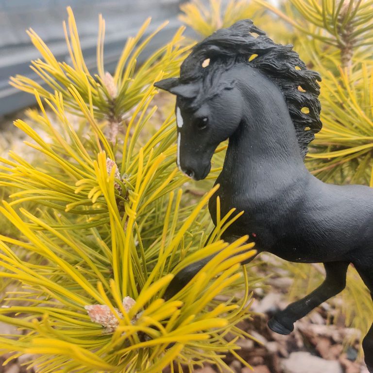 Иконка канала 🐴ⲏⲟⲣⲕⲁ ⲕⲟⲏⲏυⲕⲁ🤎 ⲗⲟⲱⲁⲇυ schleich⌚