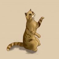 Иконка канала 1428CATT