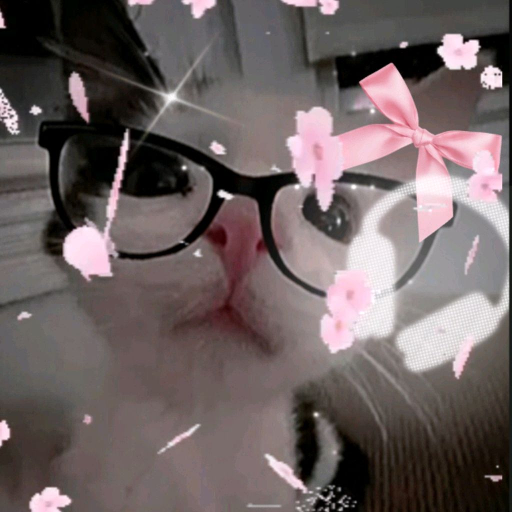 Иконка канала .. - (🥥).. MiSs MaNy.. - (🦒)..