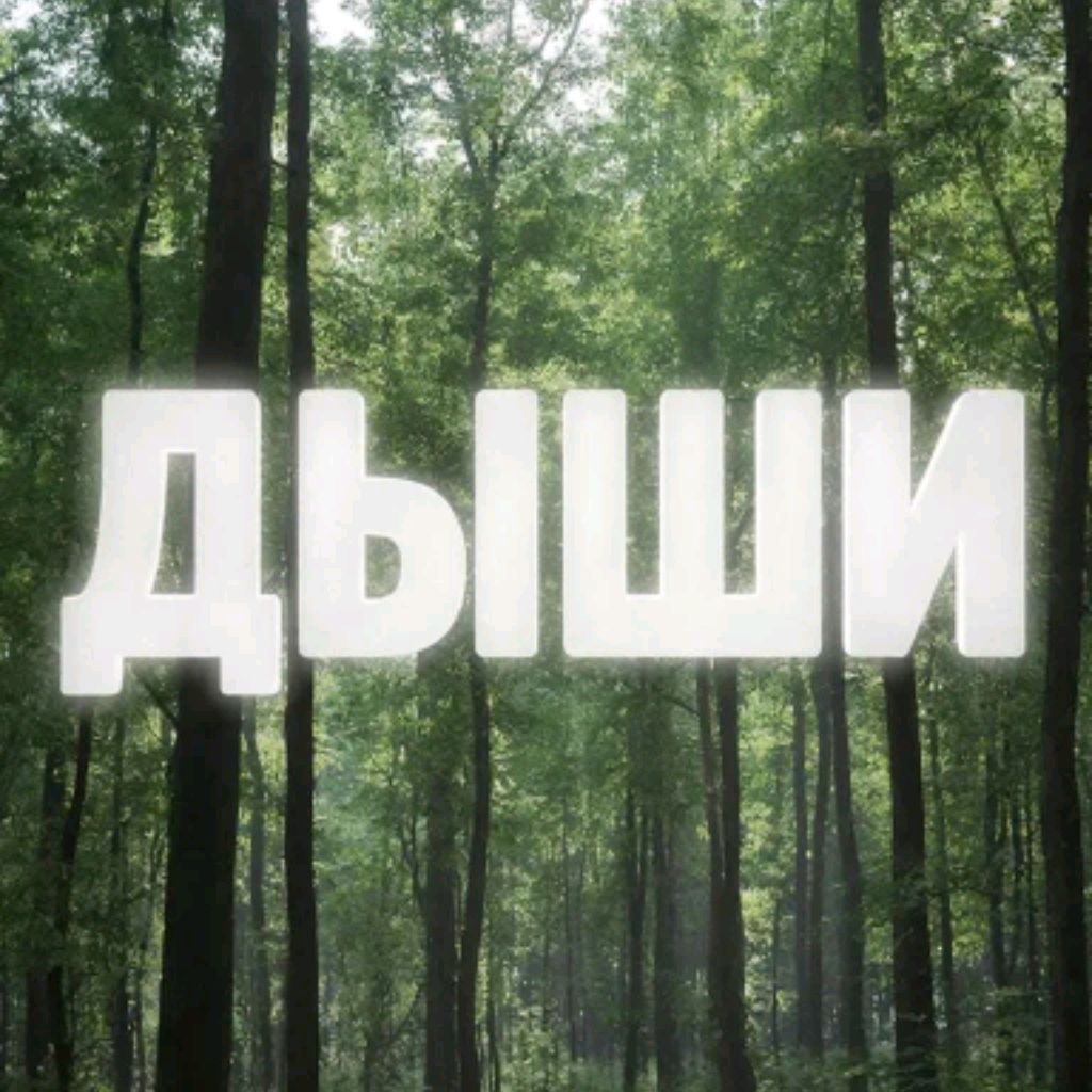 Иконка канала channel77524070