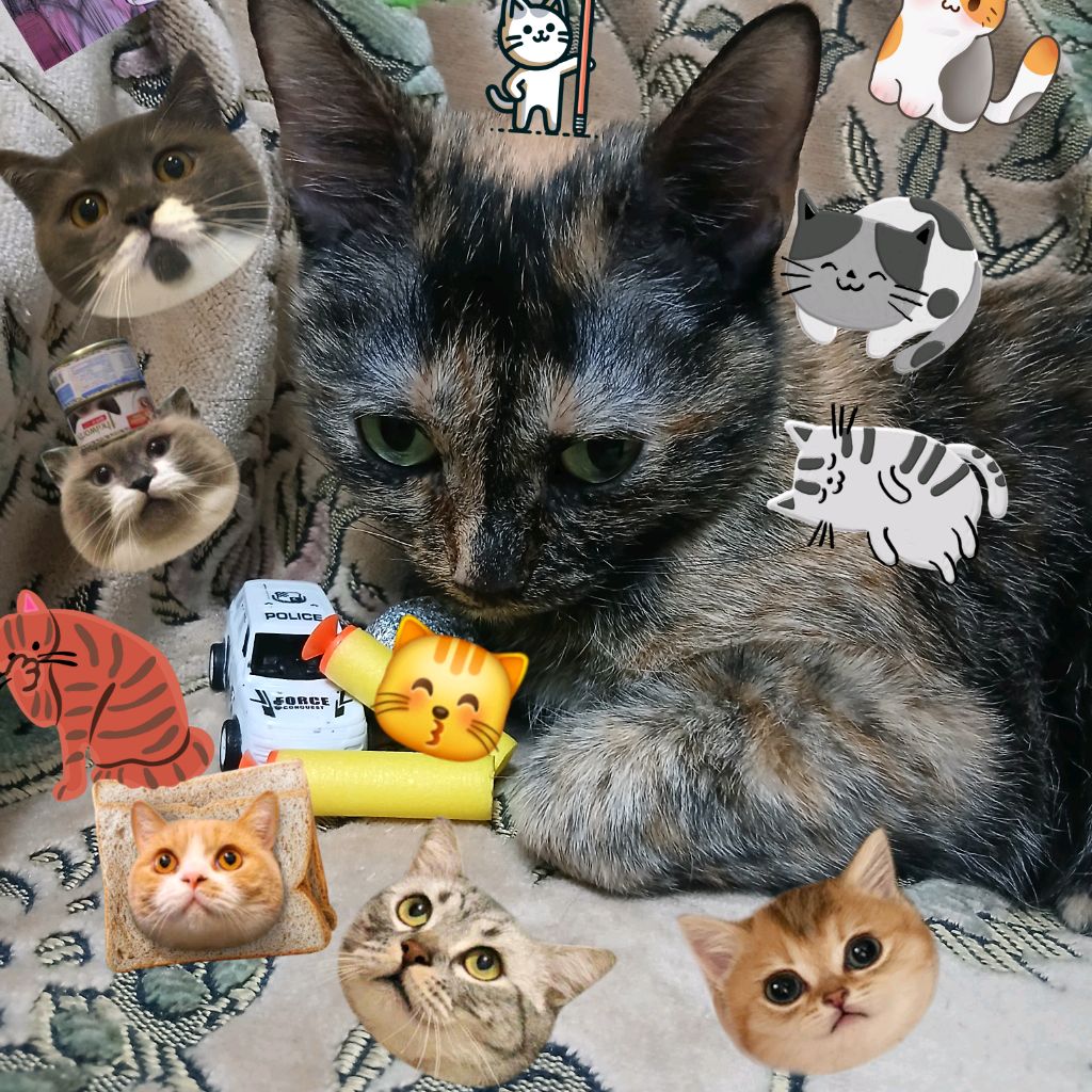 Иконка канала БонИЧ