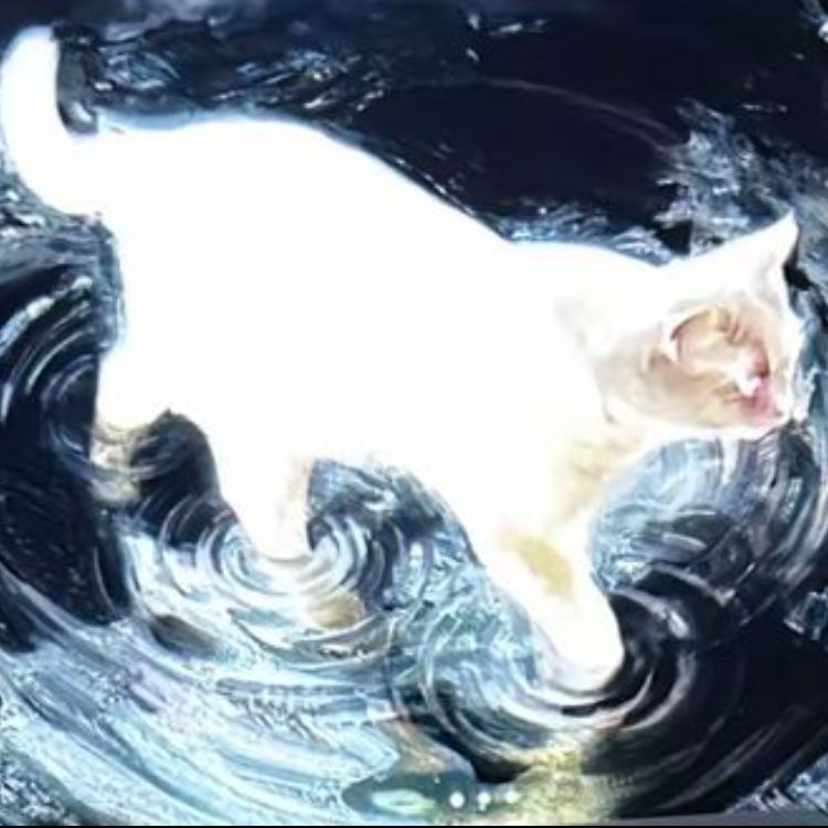 Иконка канала ☆🦭~Twixie_store ~🦭☆