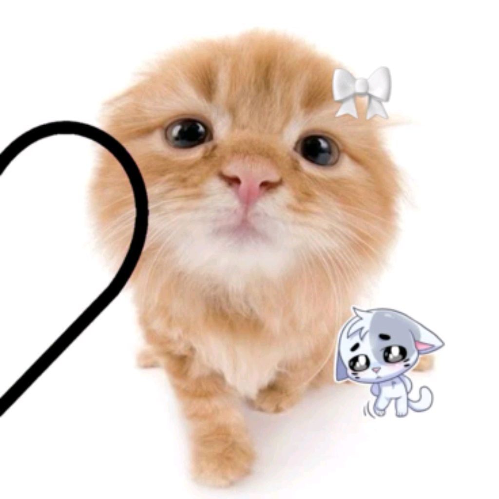 Иконка канала Саша Play Game Show room