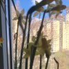 Иконка канала hello it’s me