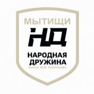 Иконка канала Народная Дружина г.о. Мытищи им. М.И.Колпакова |