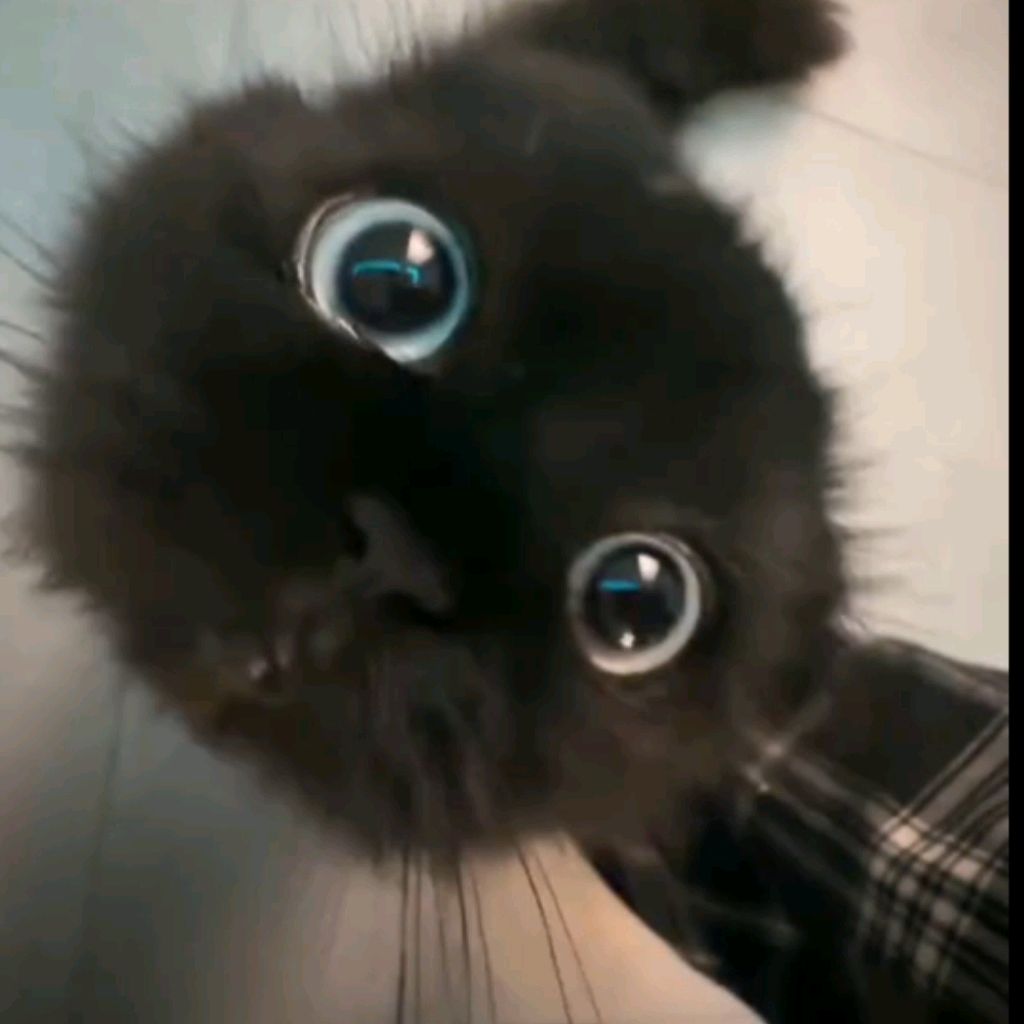 Иконка канала Нарезки С Твича|перезалив