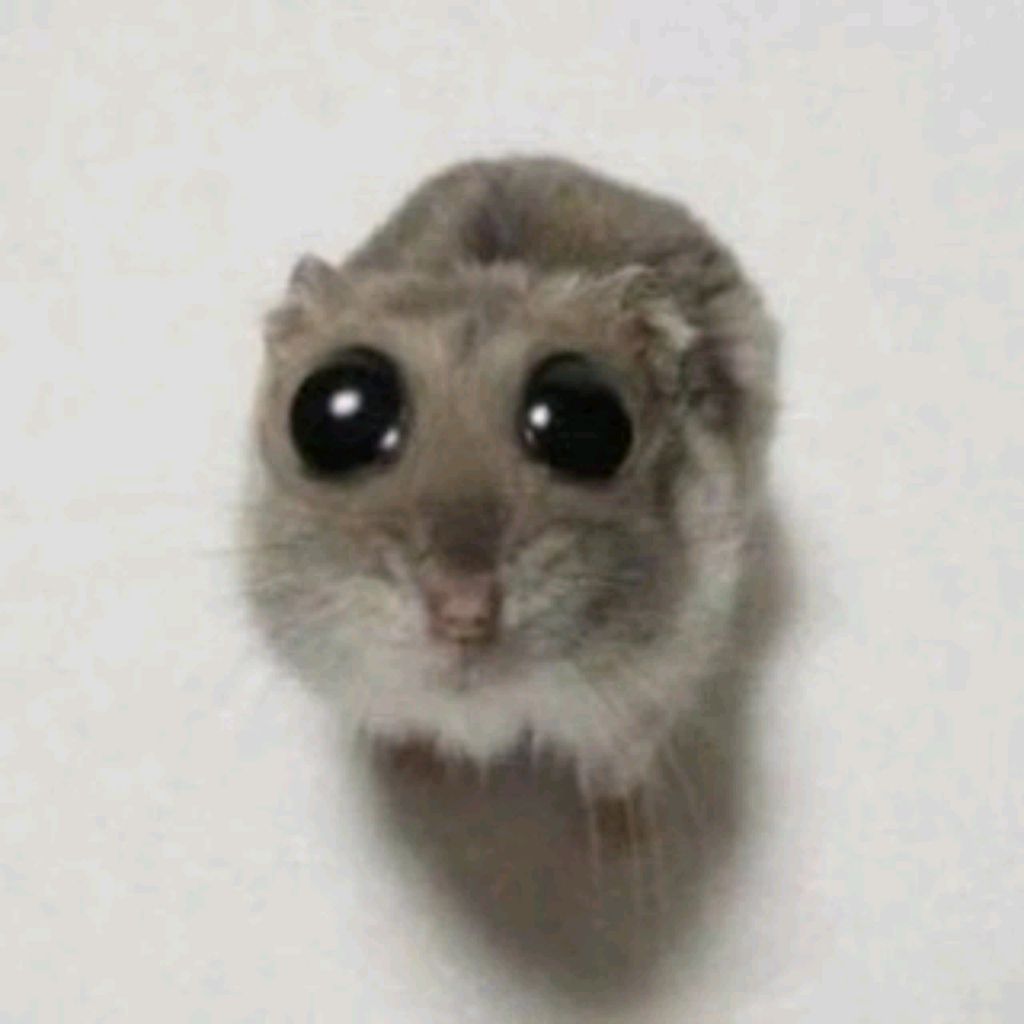 Иконка канала Вера AW❤️ 🐼