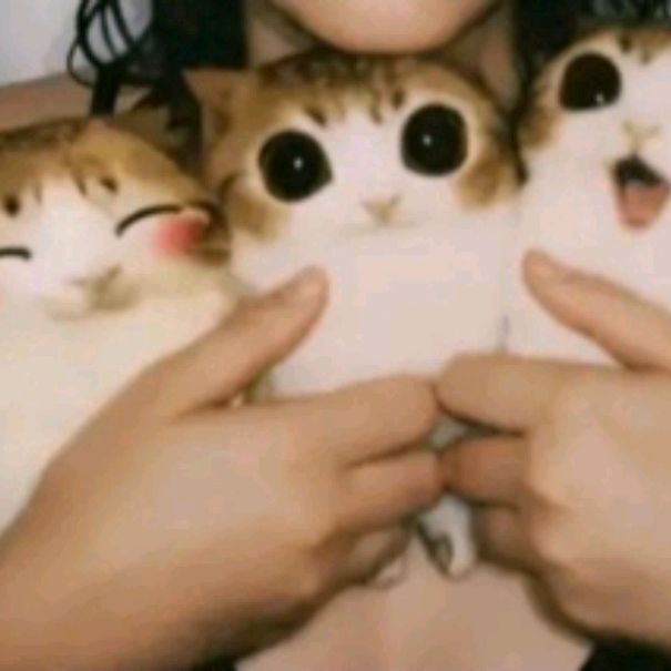 Иконка канала 🍵||~"𝕄𝕚𝕟𝕥 𝕋𝕖𝕒"~||🍵 Нужно Квакнуть