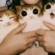 Иконка канала 🍵||~"𝕄𝕚𝕟𝕥 𝕋𝕖𝕒"~||🍵 Нужно Квакнуть