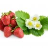 Иконка канала Мери кори 🍓
