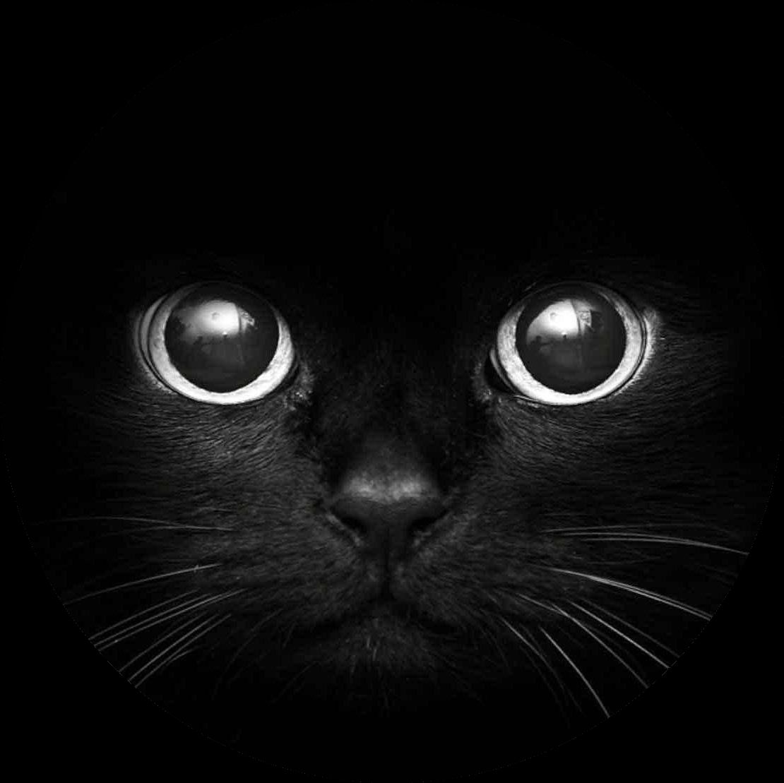 Иконка канала Chel555