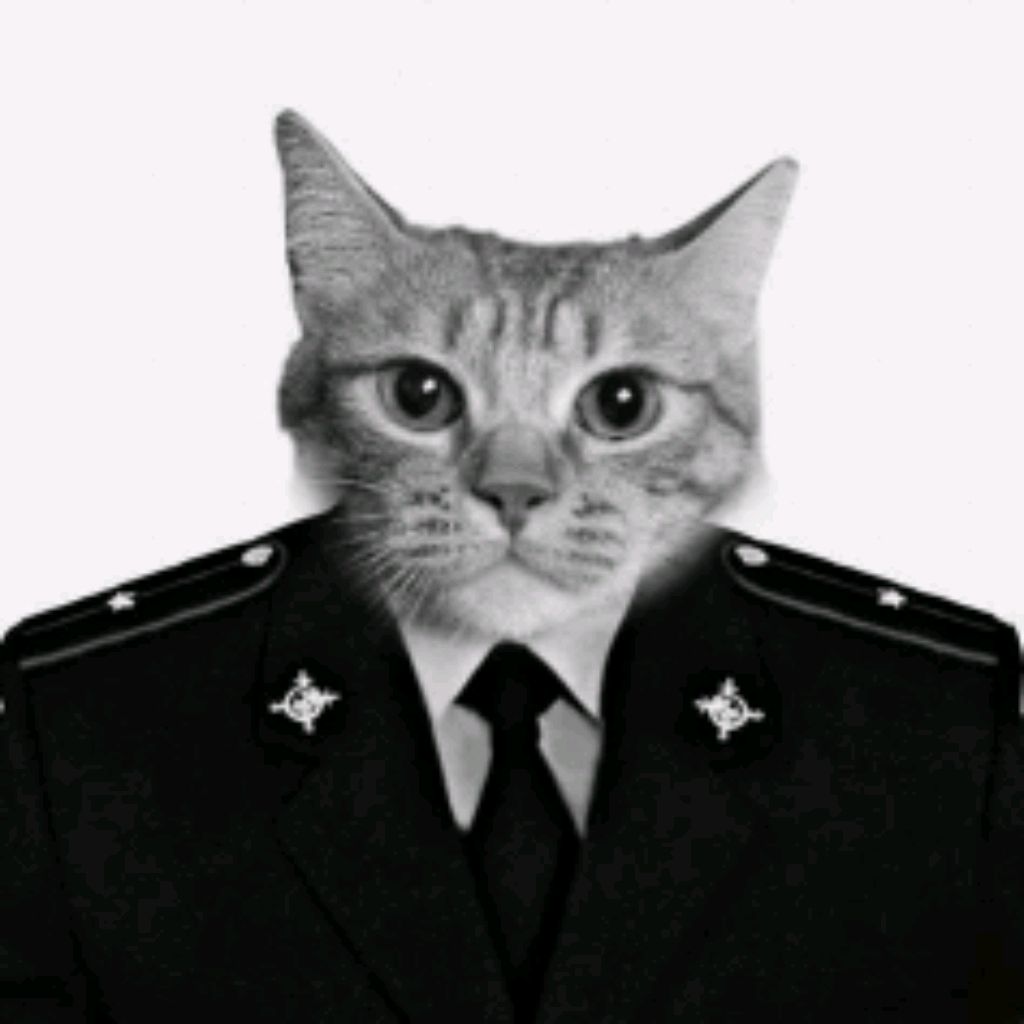 Иконка канала KiberMedved