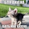 Иконка канала 🥭 — ᥴⲕⲃ𐔖ρᥱɥⲕυⲏ - [ скворечкин ]