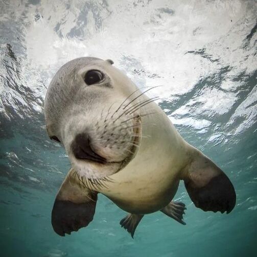 Иконка канала Саша с молоком