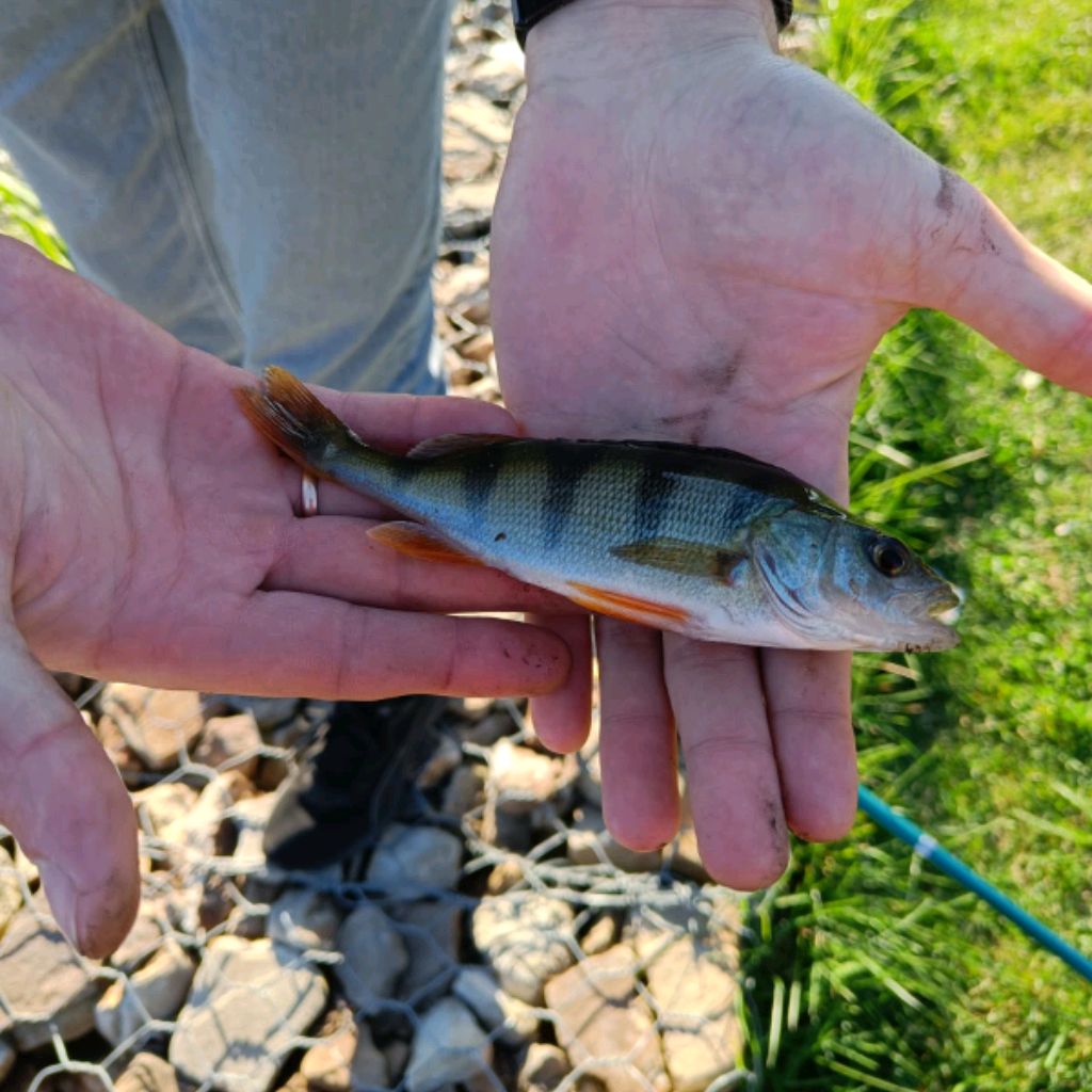 Иконка канала Егор:Рыбак всея Руси