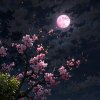 Иконка канала たいしあ