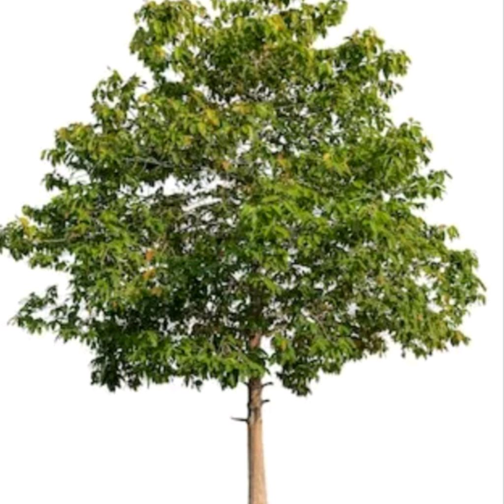 Иконка канала 38,13 и 8