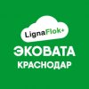 Иконка канала Краснодарская эковата