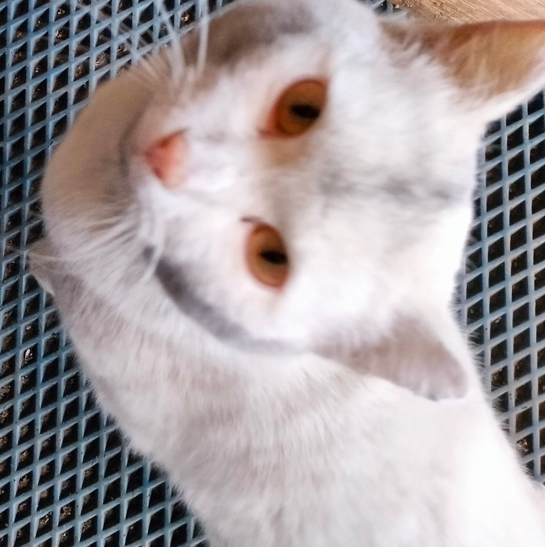 Иконка канала channel77354906