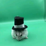 Иконка канала Совята ТВ