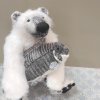 Иконка канала Полярный Мир_The Polar World