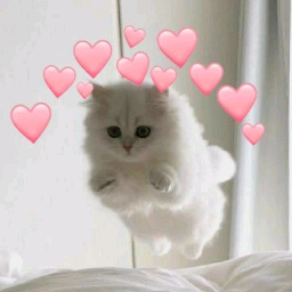 Иконка канала .・。.・゜✭・КэТиК.・✫・゜・。.♡𓃠