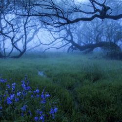 Иконка канала Maybe1nAnotherllfe