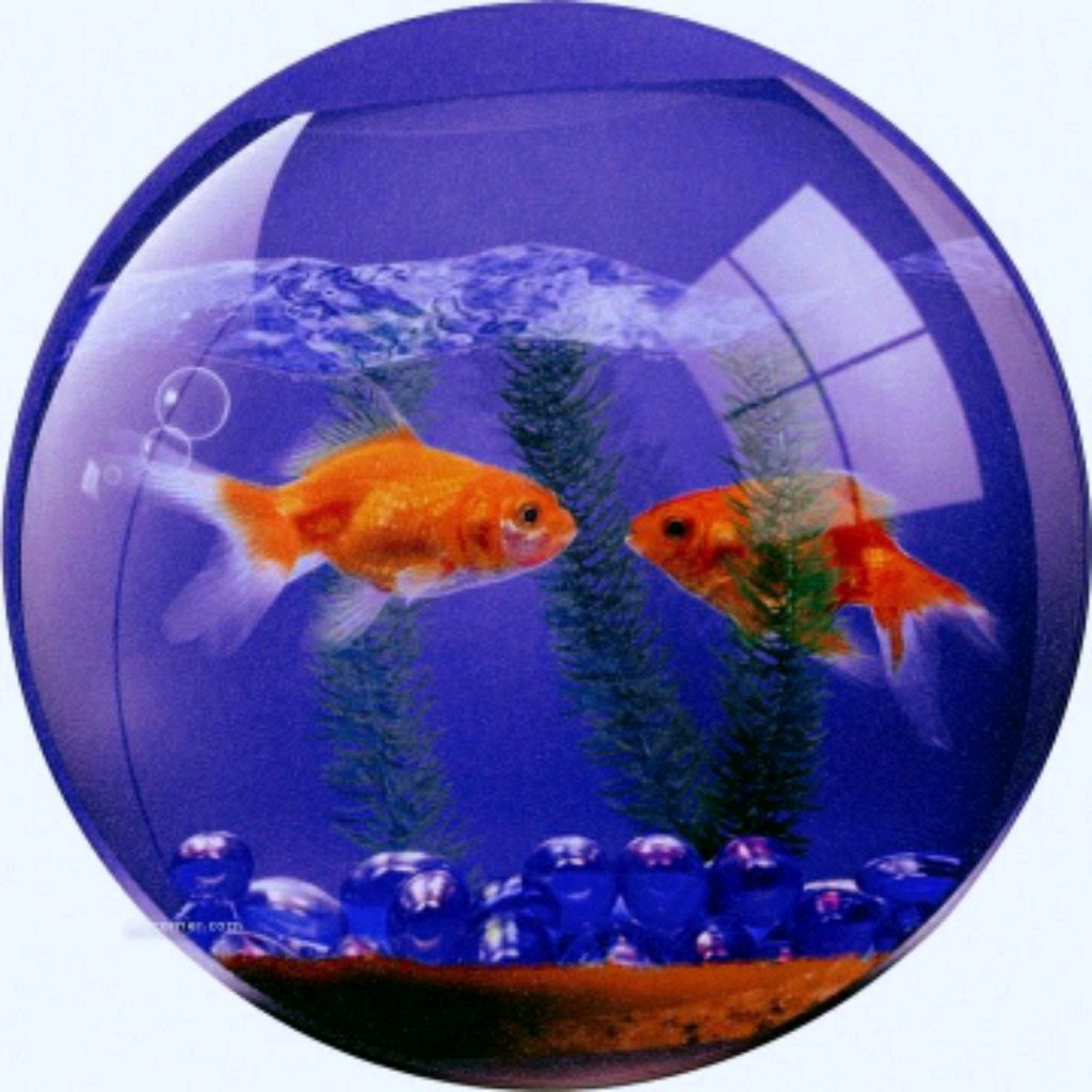 Иконка канала ℂ𝕠𝕠𝕝ℕ𝕚𝕩 𓆟